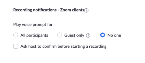 How to Turn Off the Zoom Recording Notification - Laura Kåmark